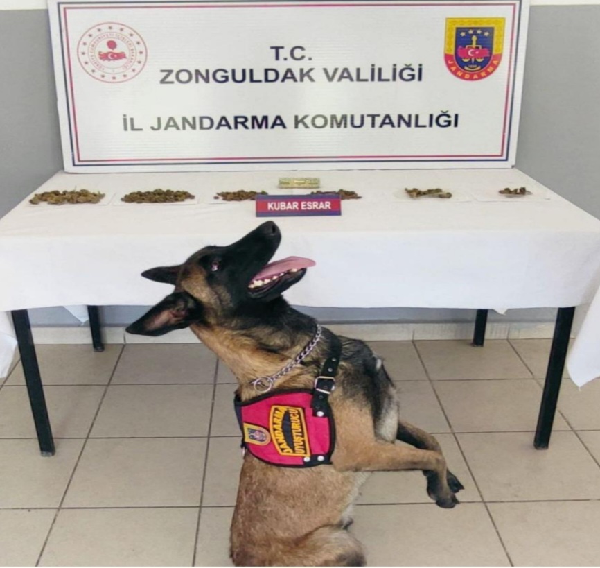 DEVREK’TE OPERASYON! - Devrek - Zonguldak Haberleri Özgür Halkın Sesi