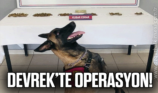 DEVREK’TE OPERASYON! - Devrek - Zonguldak Haberleri Özgür Halkın Sesi