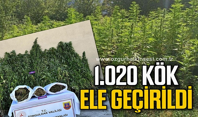 Devrek'te uyuşturucu operasyonu - Devrek - Zonguldak Haberleri Özgür Halkın Sesi