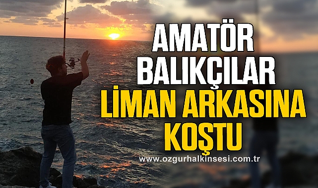 AMATÖR BALIKÇILAR LİMAN ARKASINA KOŞTU - Zonguldak - Zonguldak ... AMATÖR BALIKÇILAR LİMAN ARKASINA KOŞTU - Zonguldak - Zonguldak ...