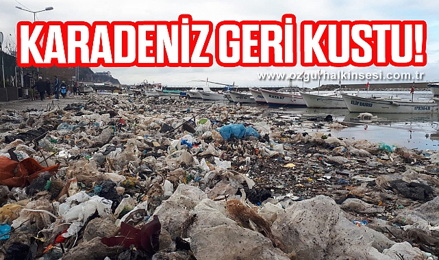 KARADENİZ GERİ KUSTU! - Zonguldak - Zonguldak Haberleri Özgür Halkın Sesi