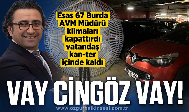 VAY CİNGÖZ VAY! - Zonguldak - Zonguldak Haberleri Özgür Halkın Sesi